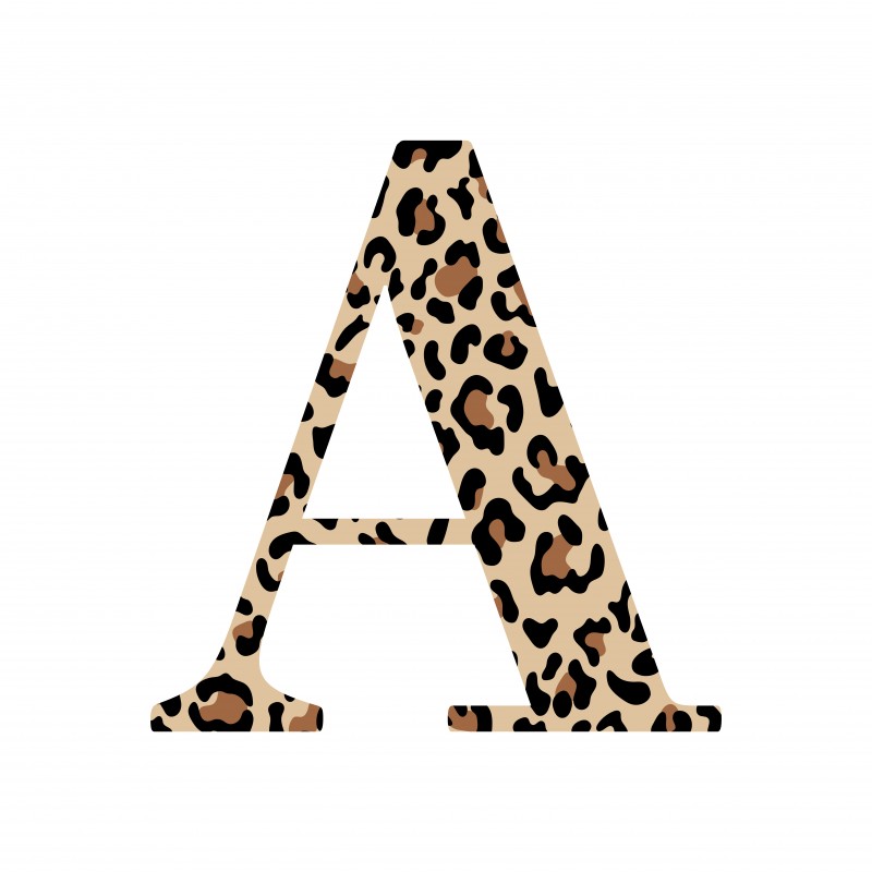 Modelo De Lettering Para Personalização Têxtil