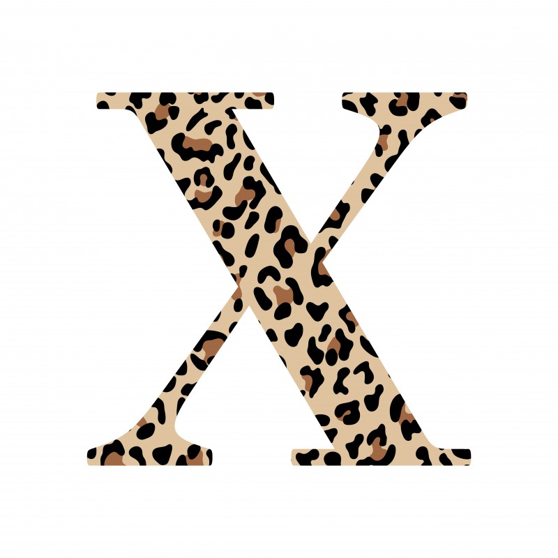 Modelo De Lettering Para Personalização Têxtil